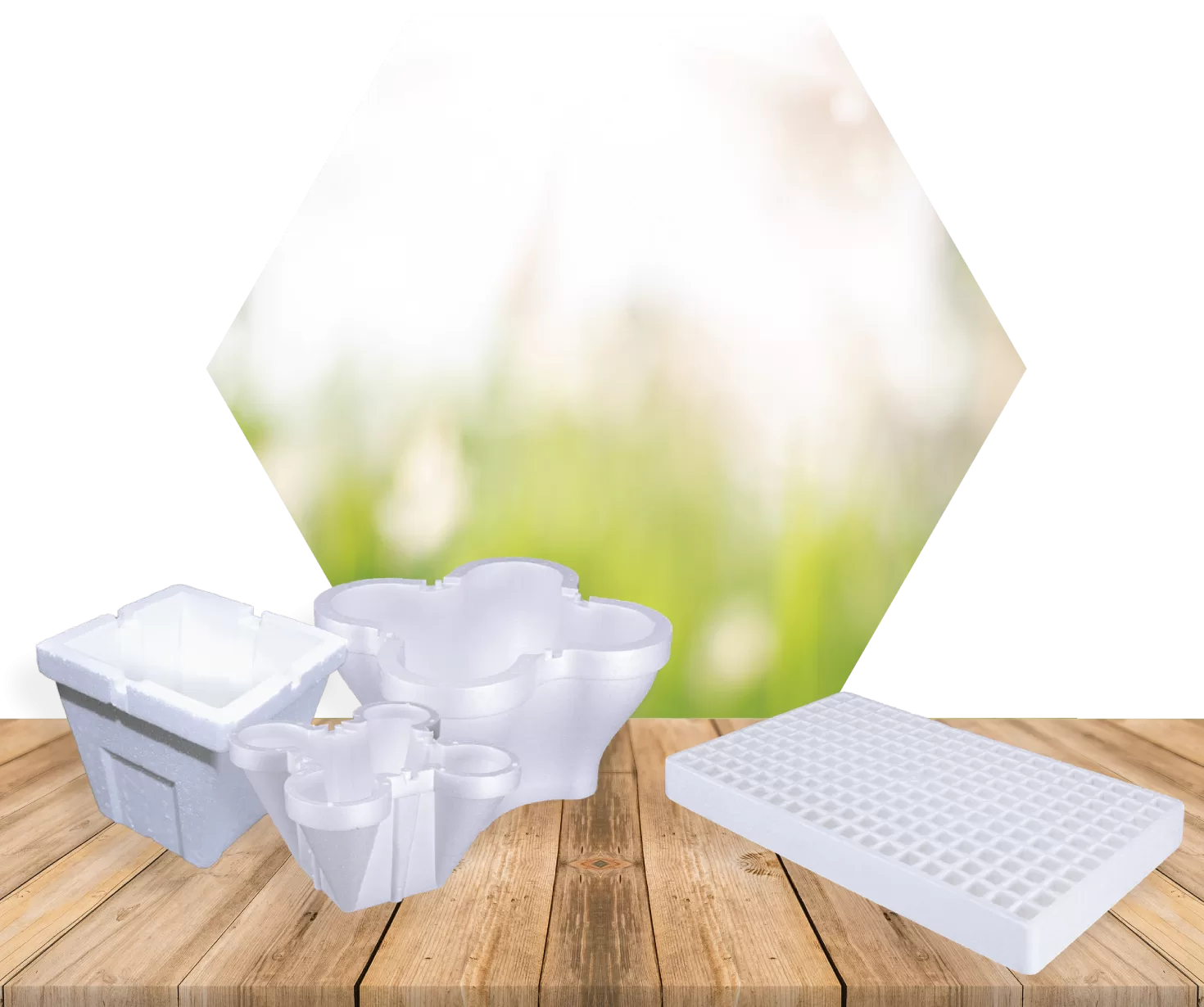 EPS Agricultural Products | Seedling Trays & Vegetable Pots | NPPF Dubai